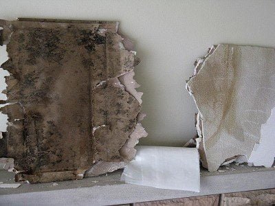 Moldy Drywall Removal | How To Build A House